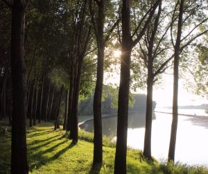 Informatives zu Bestattungsarten | Bestattung Himmelblau