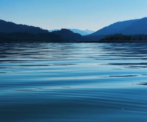 Begräbniskosten – Wien & Umgebung | Bestattung Himmelblau